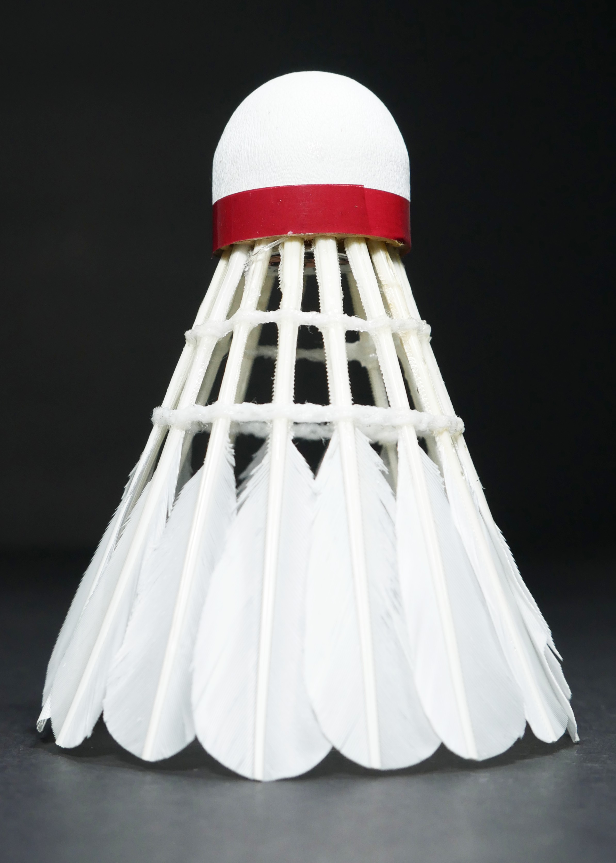 Gadjah Mada Shuttlecock