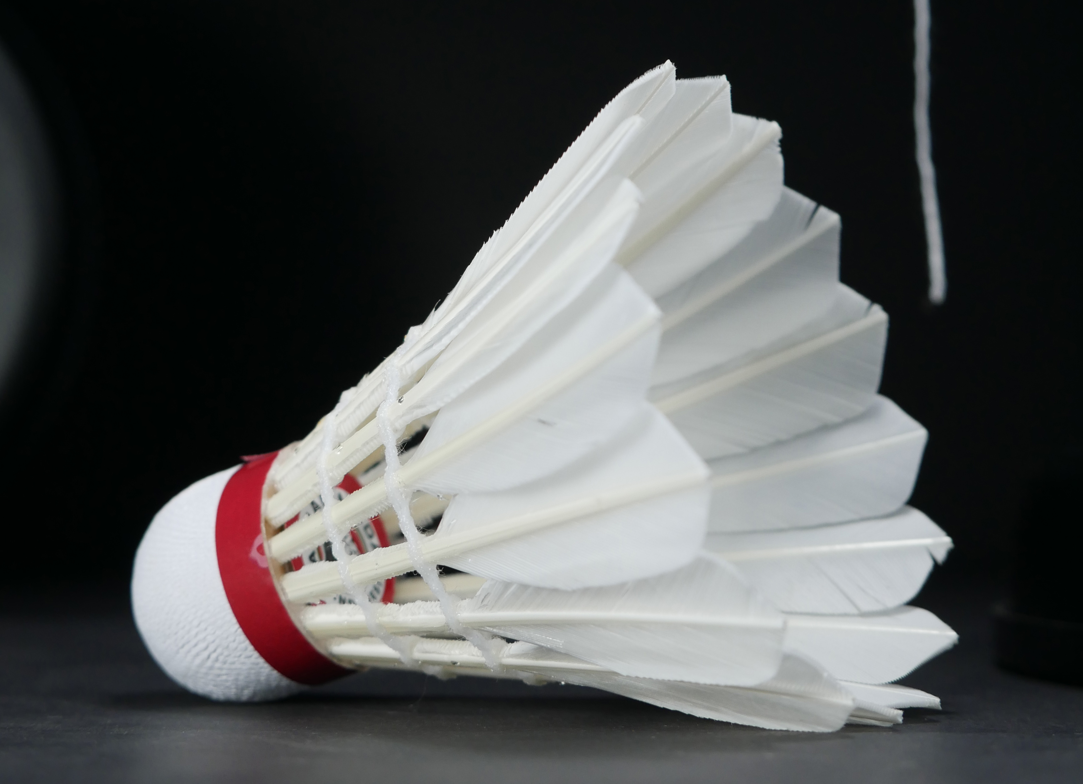 Gadjah Mada Shuttlecock