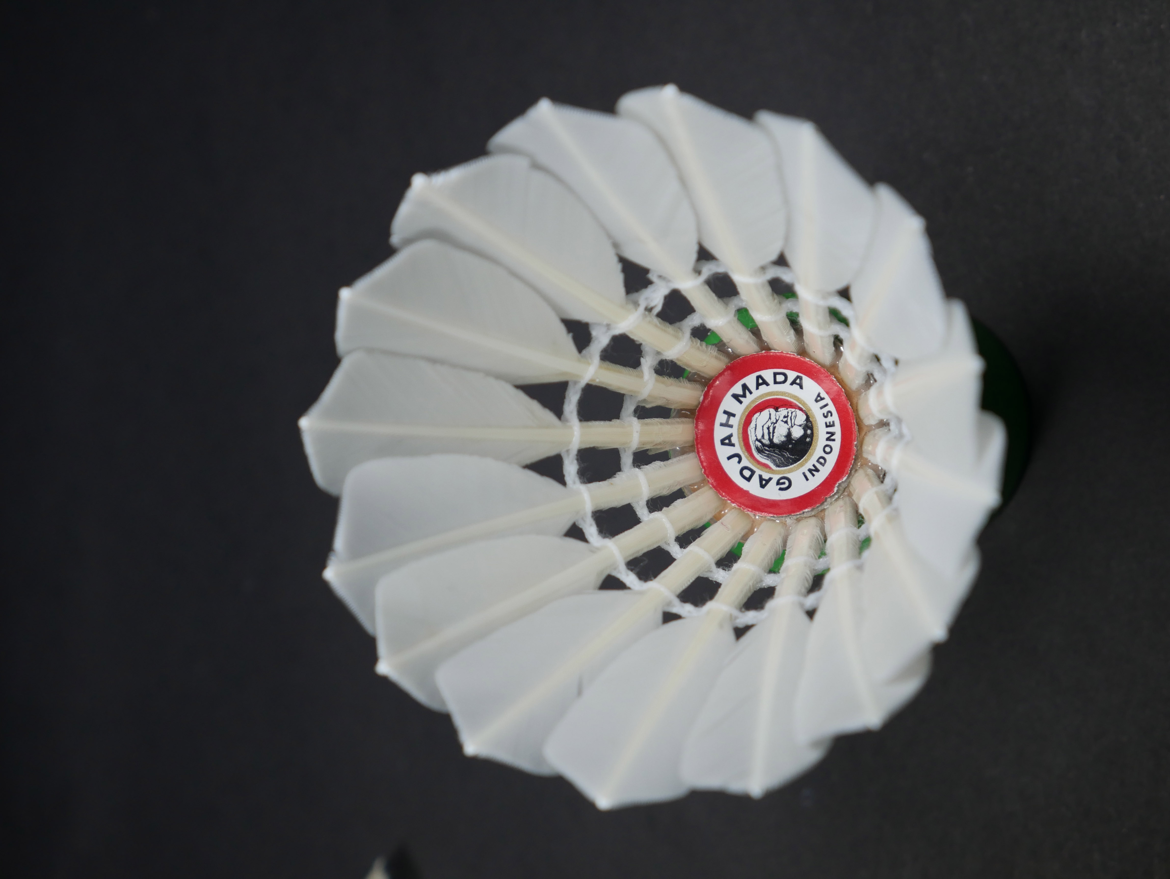 Gadjah Mada Shuttlecock