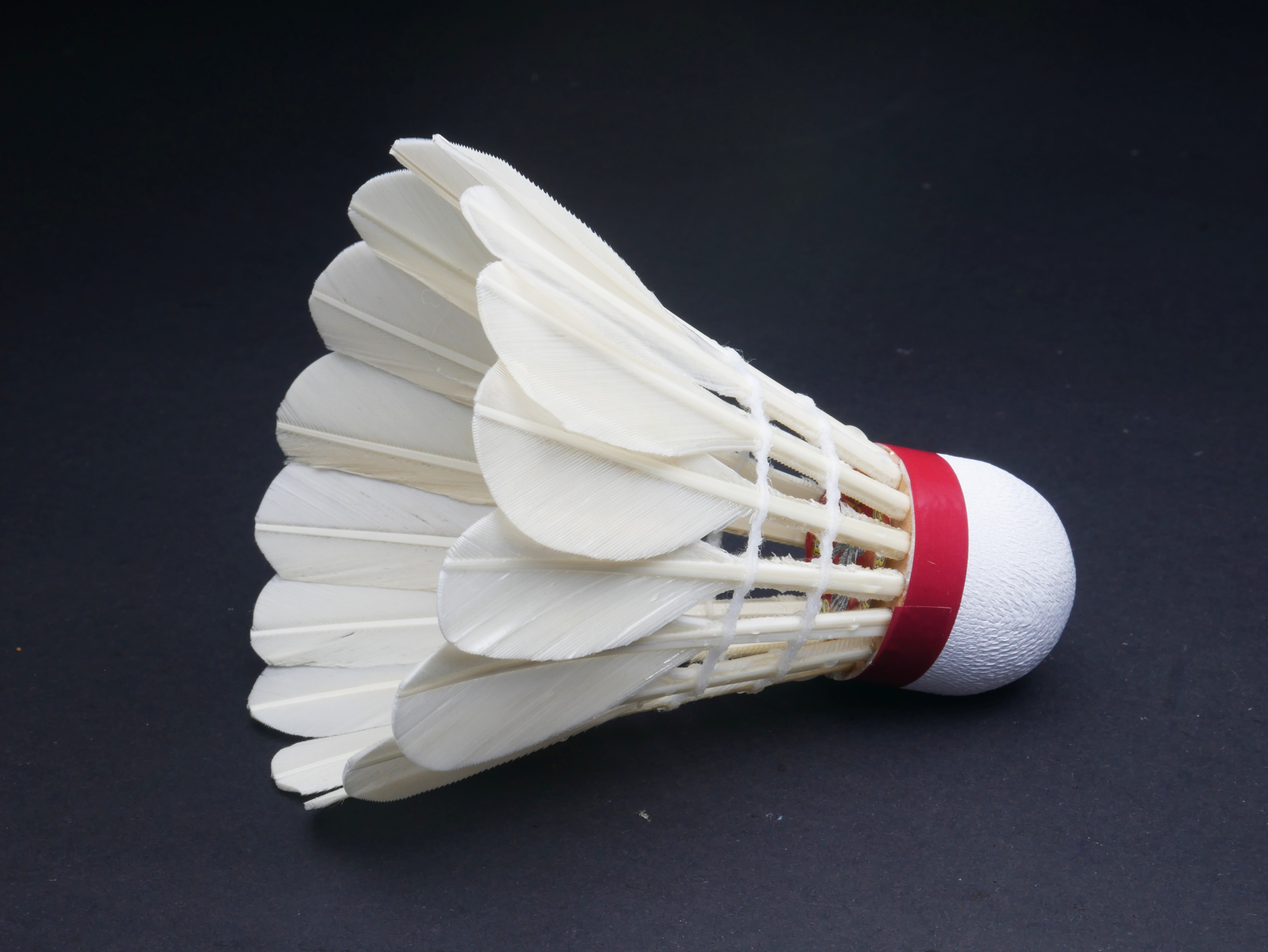 Gadjah Mada Shuttlecock
