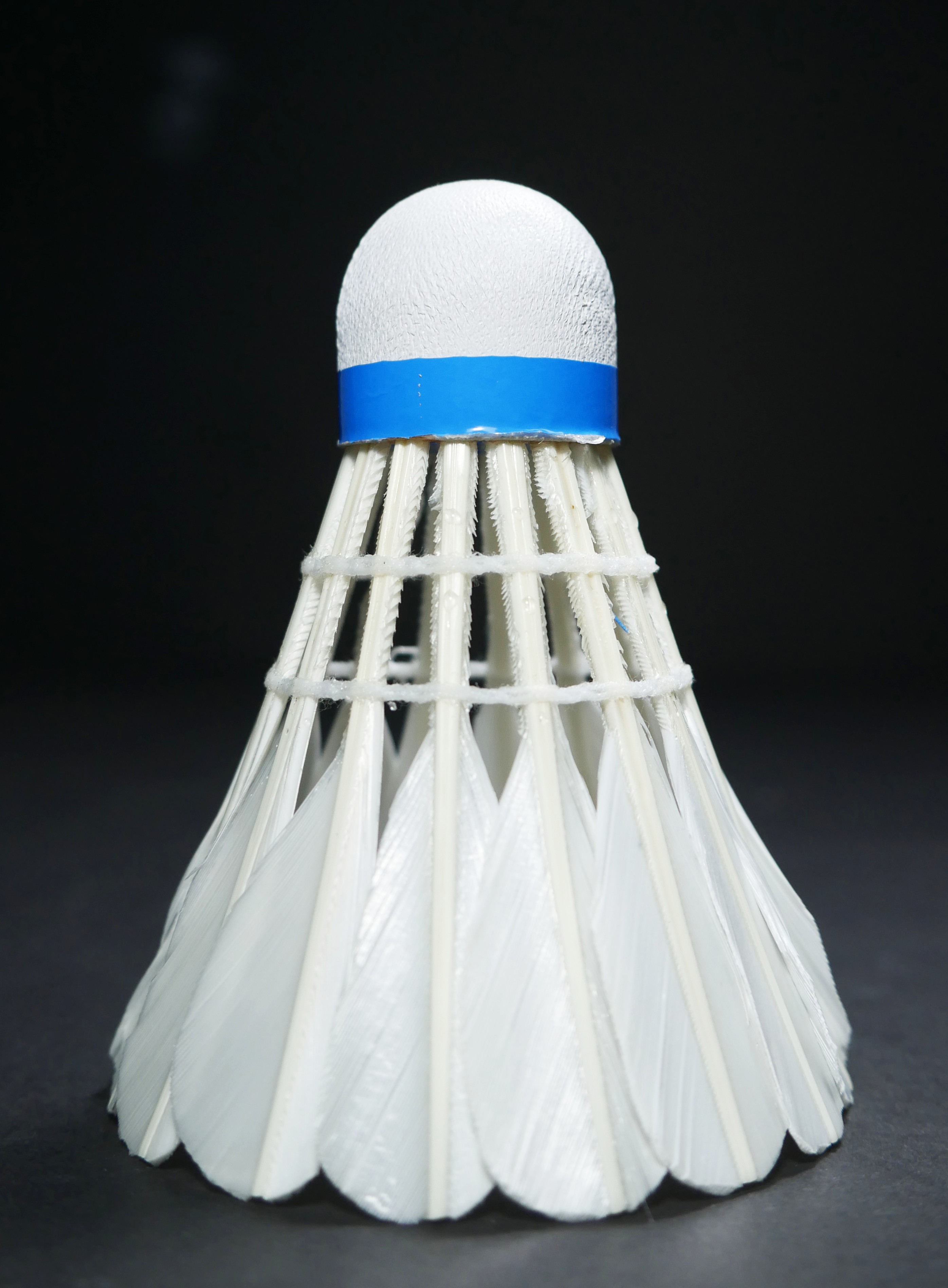 Gadjah Mada Shuttlecock