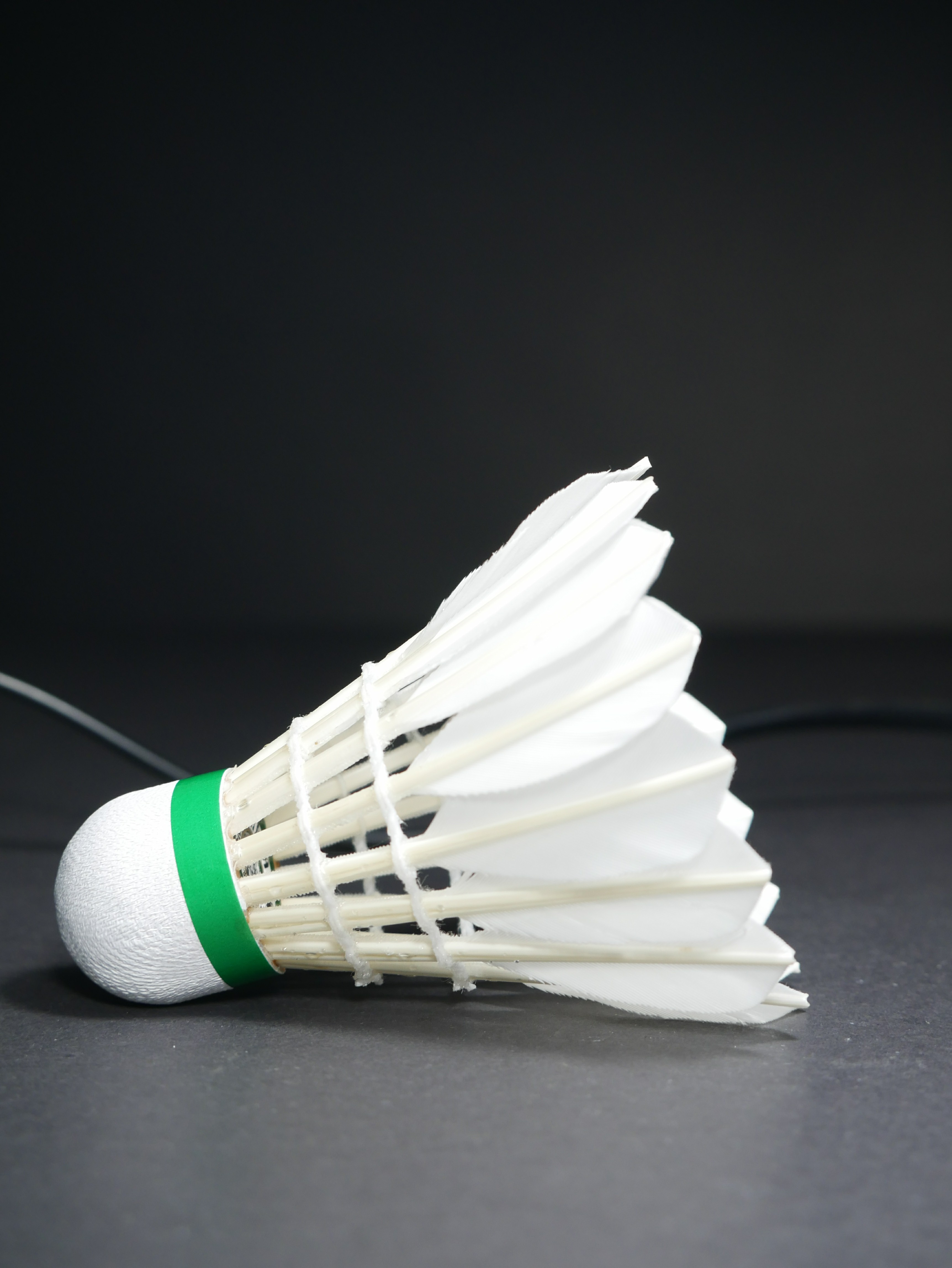 Gadjah Mada Shuttlecock