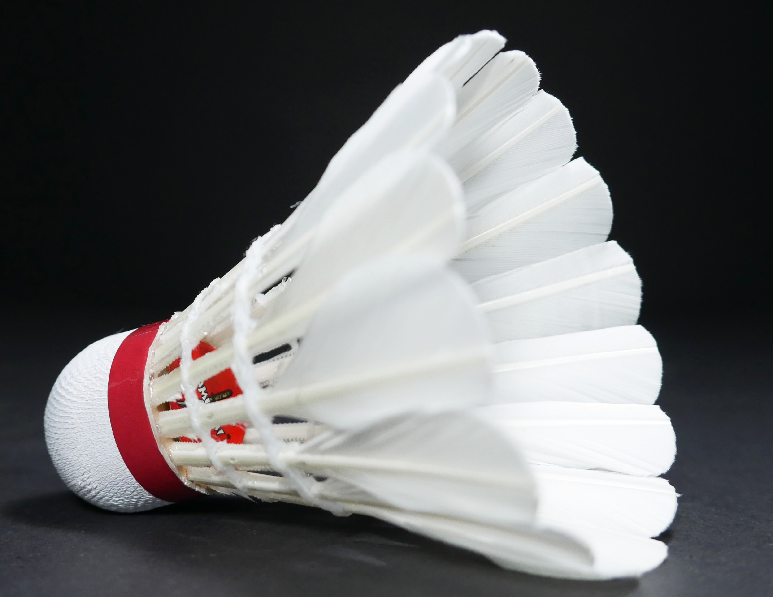 Gadjah Mada Shuttlecock